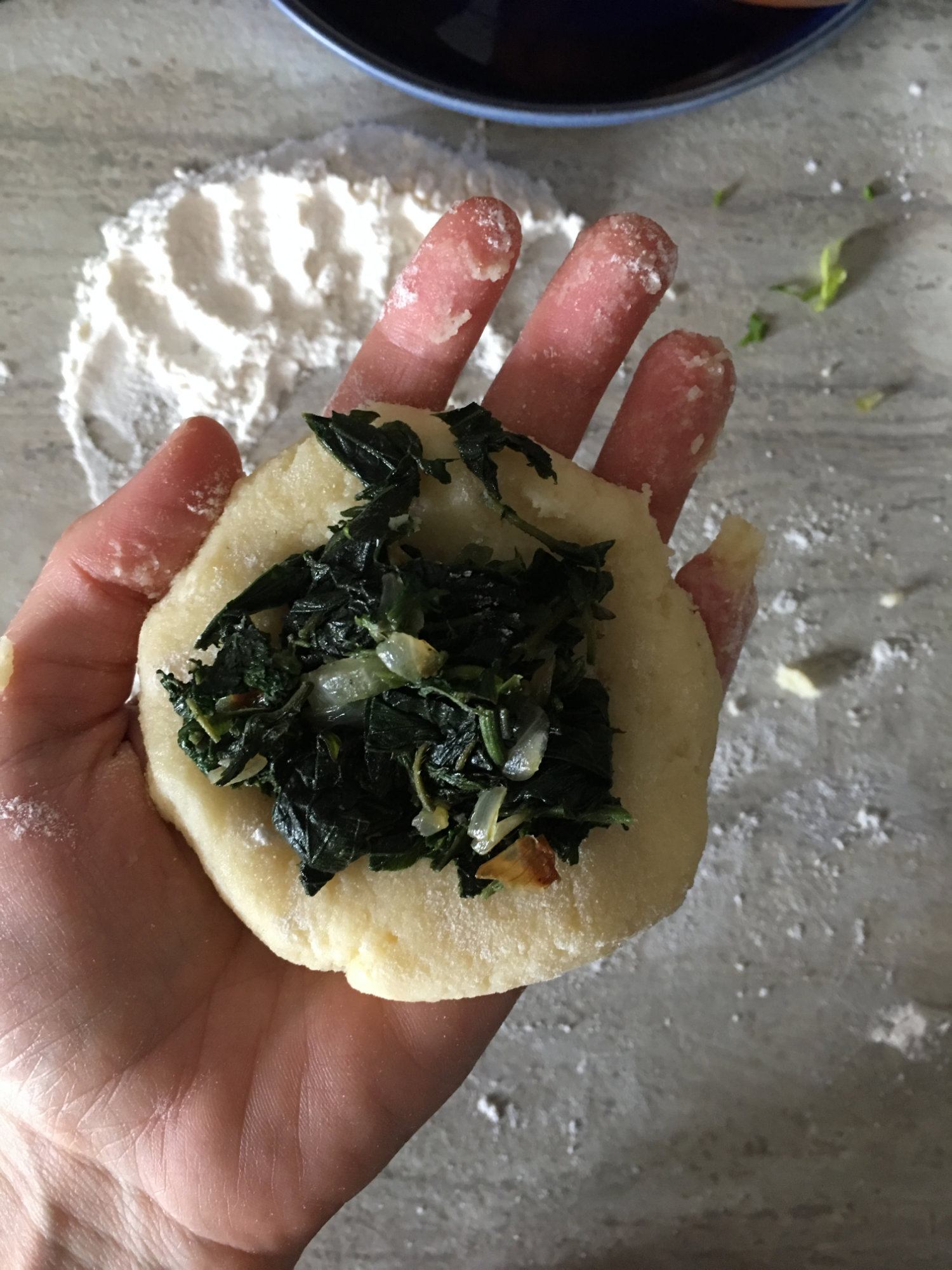 Nettles – Nourishing the Wild Within – green tea over rice